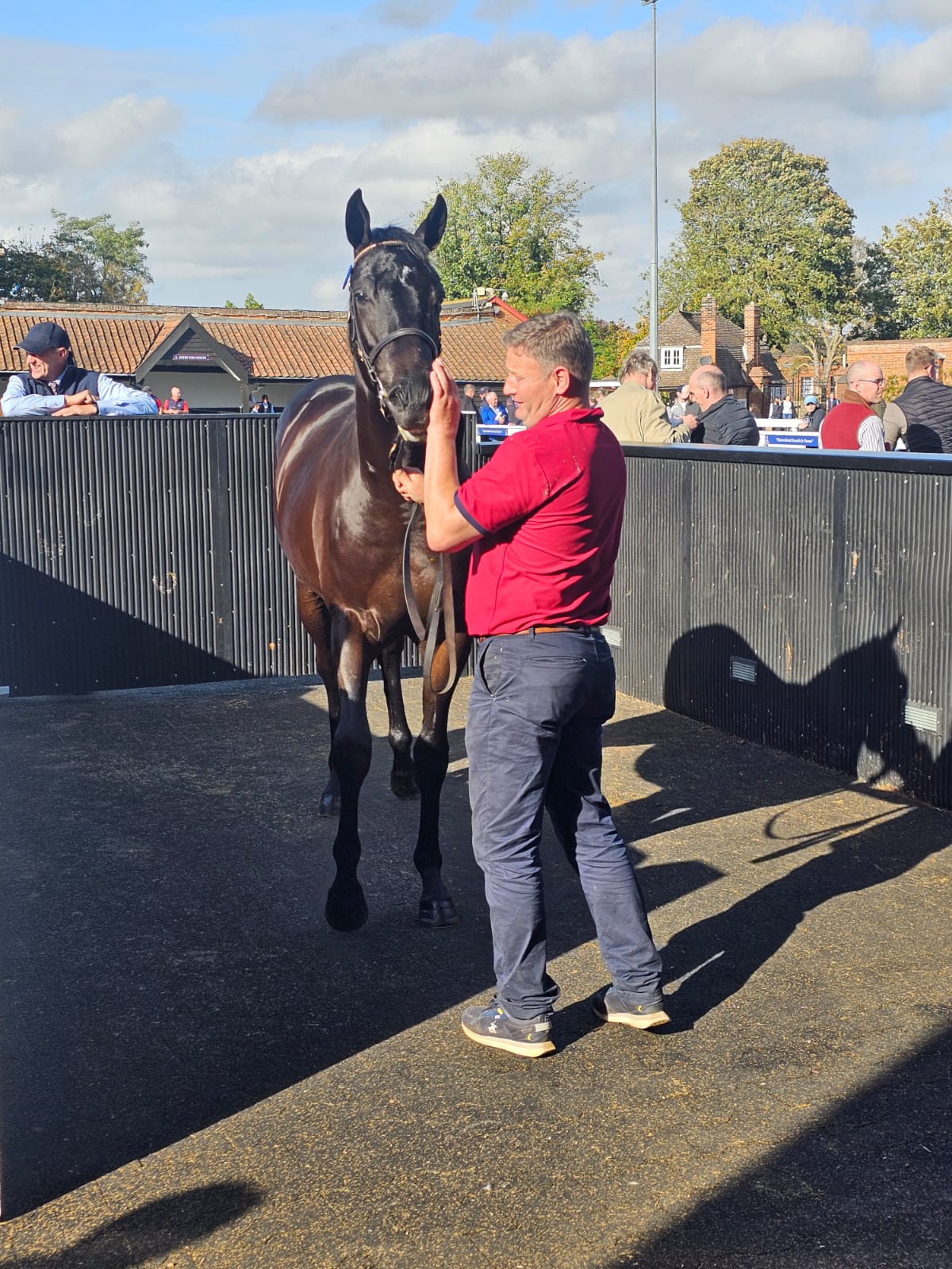 Tattersalls Book 2 continues with a record breaking session! - Horse Weigh
